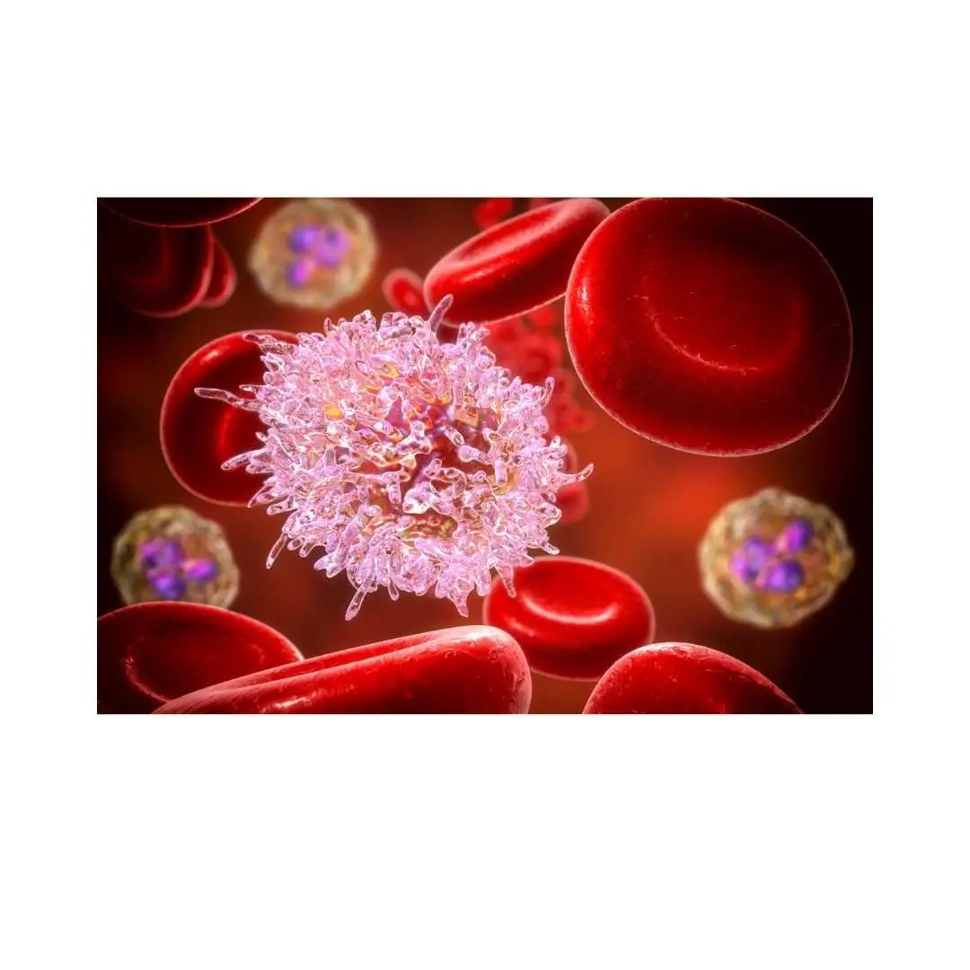 Erwinase para Leucemia Linfoblástica Aguda - FetchMed